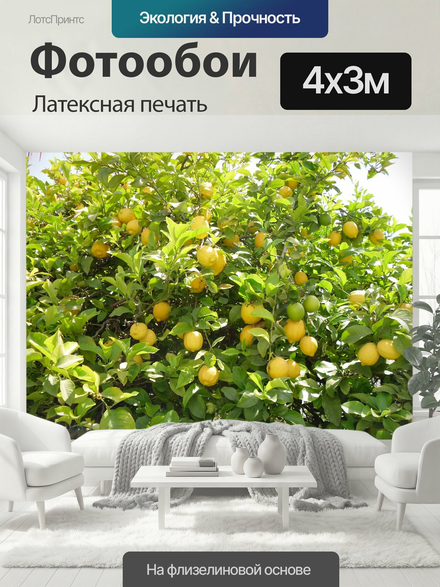 Фотообои моющиеся ударопрочные "Лимонное дерево, дерево, лимон" 400x300 см. латексная печать
