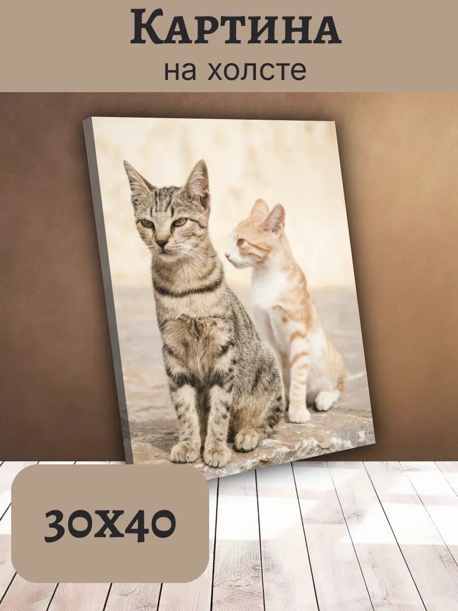 Картина Постер Кот Кошка Cat 30x40 с двумя игривыми котятами