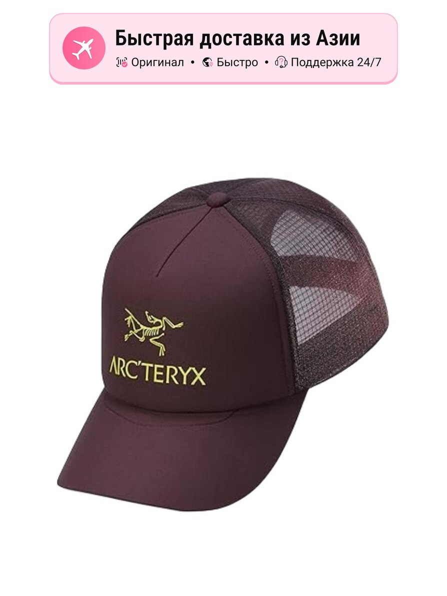 Бейсболка Arc'teryx Bird Word Trucker для мужчин
