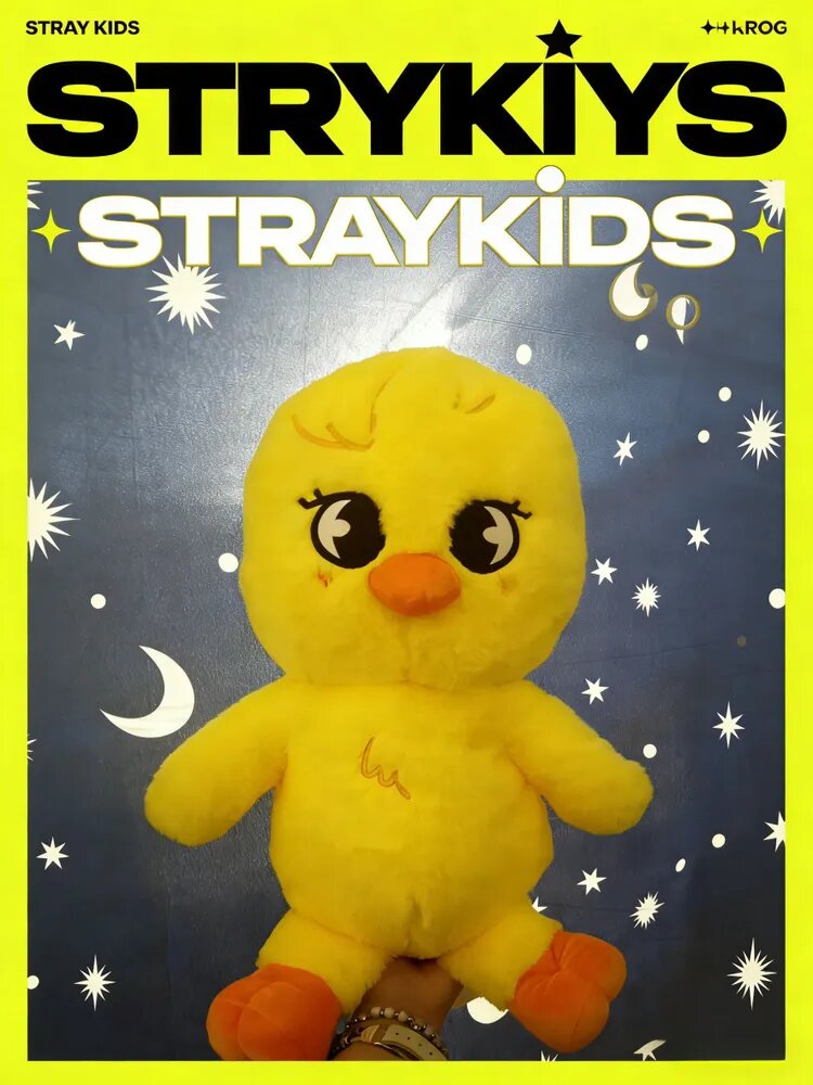 SKZOO 50cm Сидящая Кукла Straykids KARMA, стрей кидс игрушки