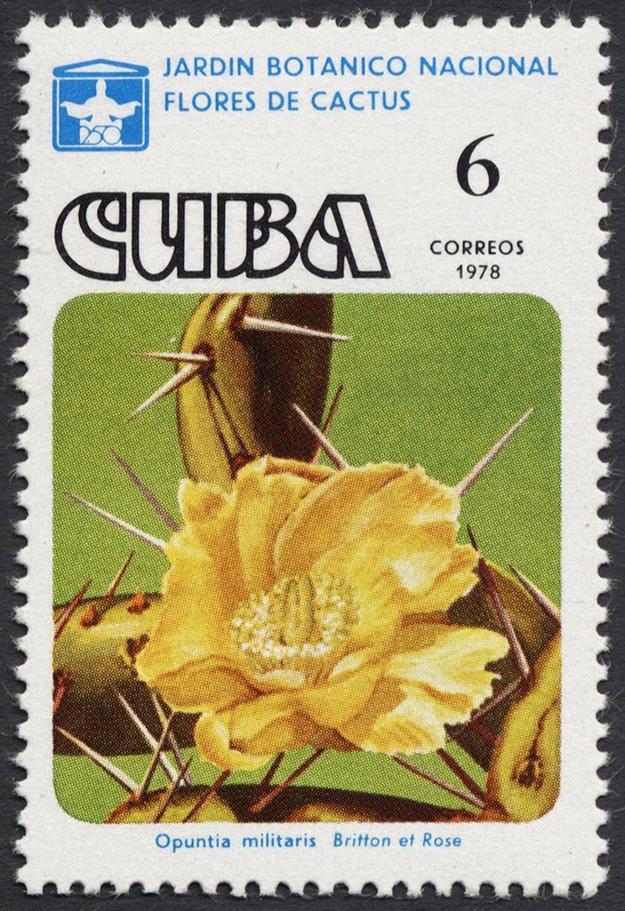 ( 2294-2299) Набор марок Куба 1978 год (6 марок) "Цветущие кактусы", Гашеный