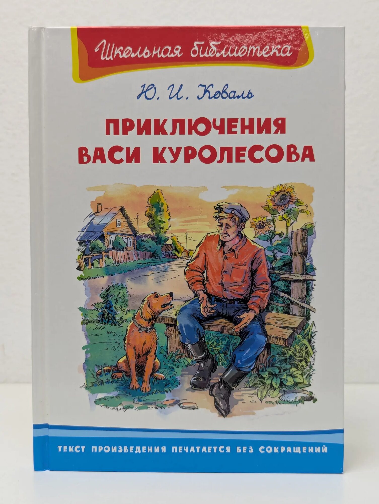 Школьная библиотека. Приключения Васи Куролесова Коваль Юрий Иосифович 2022