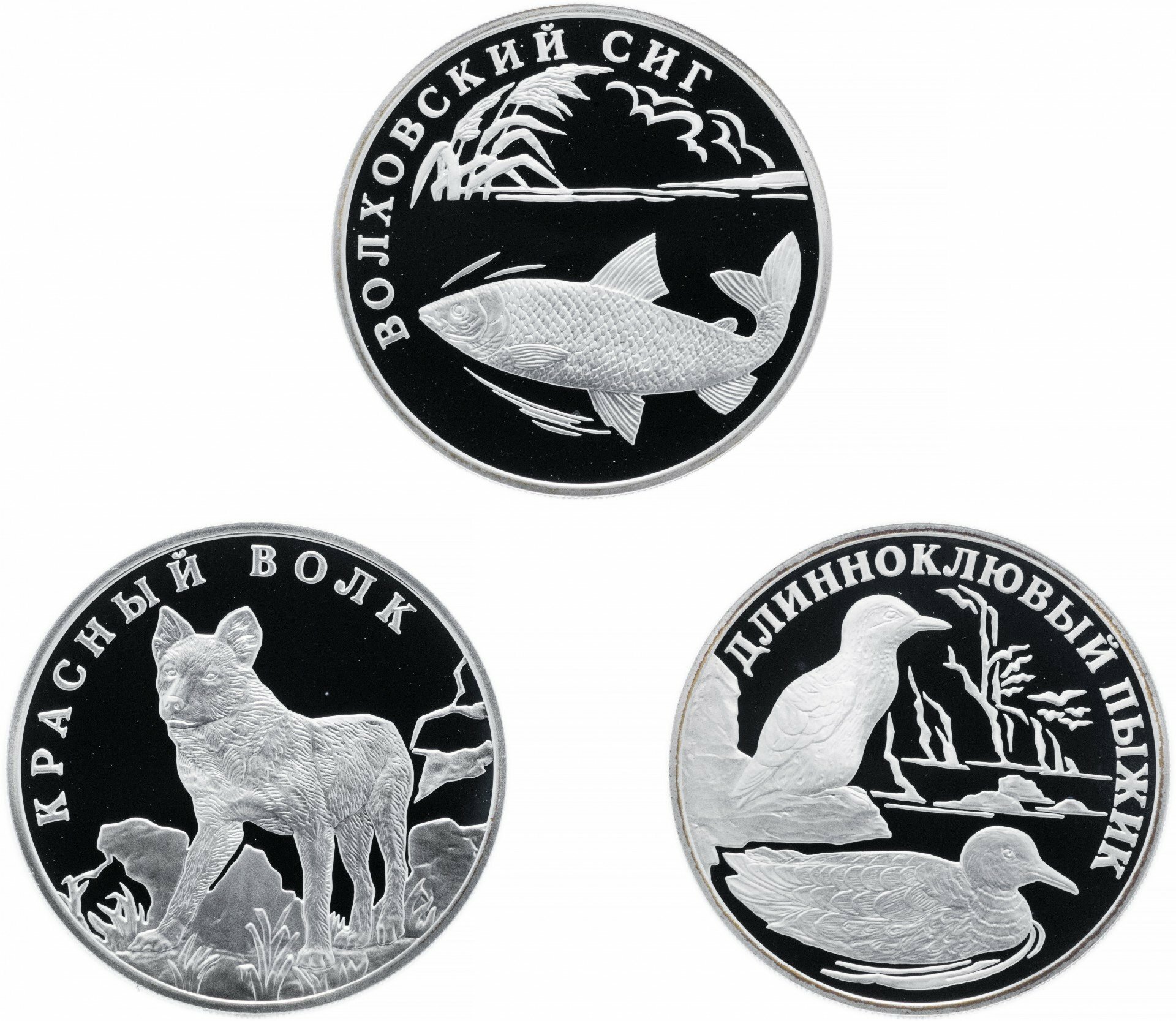 Набор из 3х монет 1 рубль 2005 СПМД Proof "Красная книга - сиг, пыжик, волк", Серебро 925