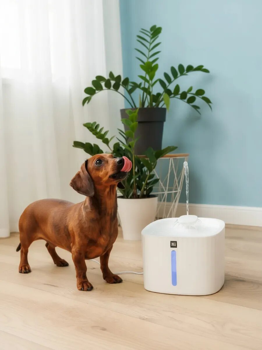 HiPet Фонтанчик для кошек и собак, 3 л, белый