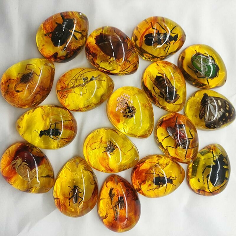 Насекомое янтарь