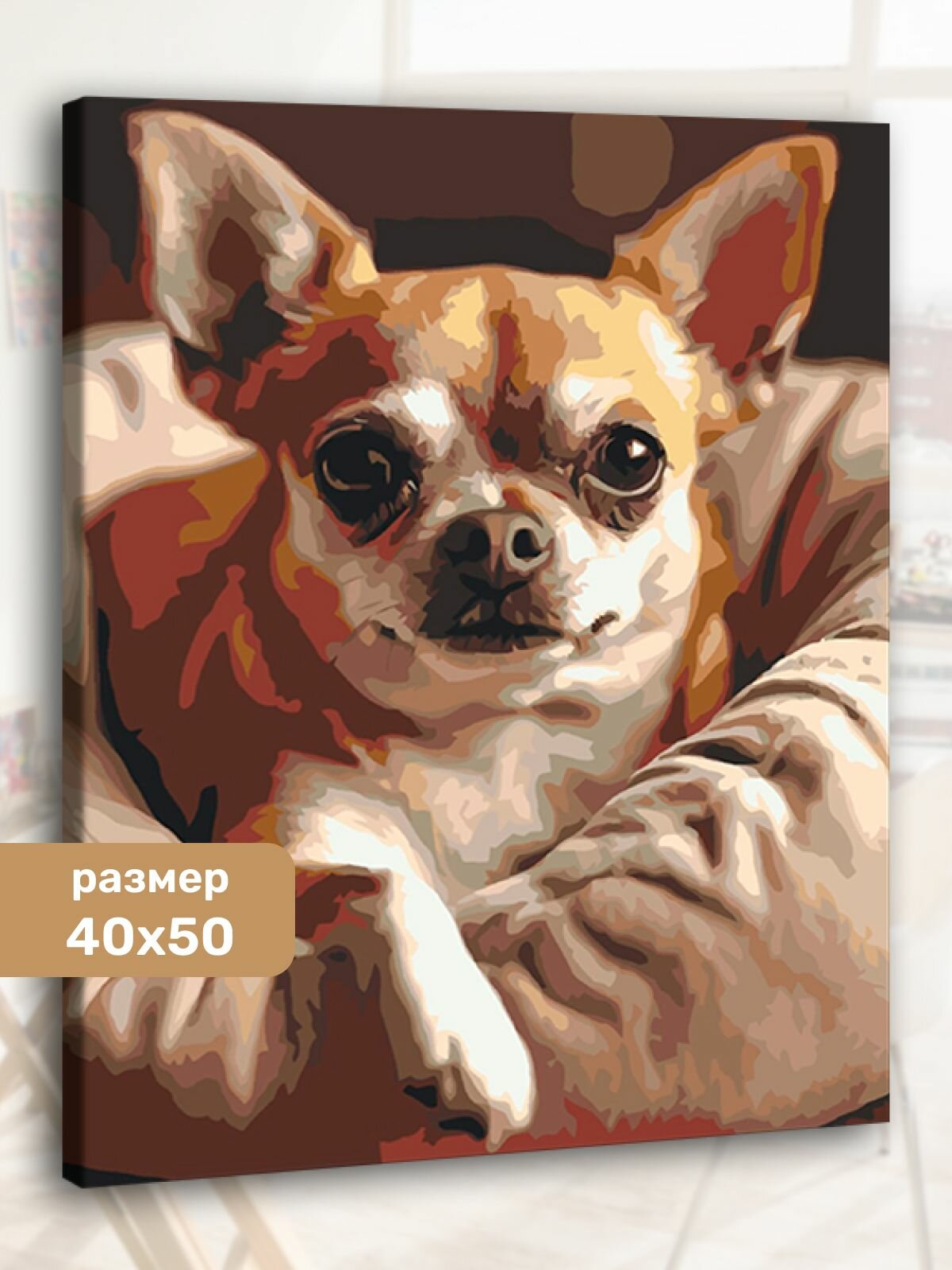 Картина по номерам, на холсте с подрамником 40х50, чихуахуа