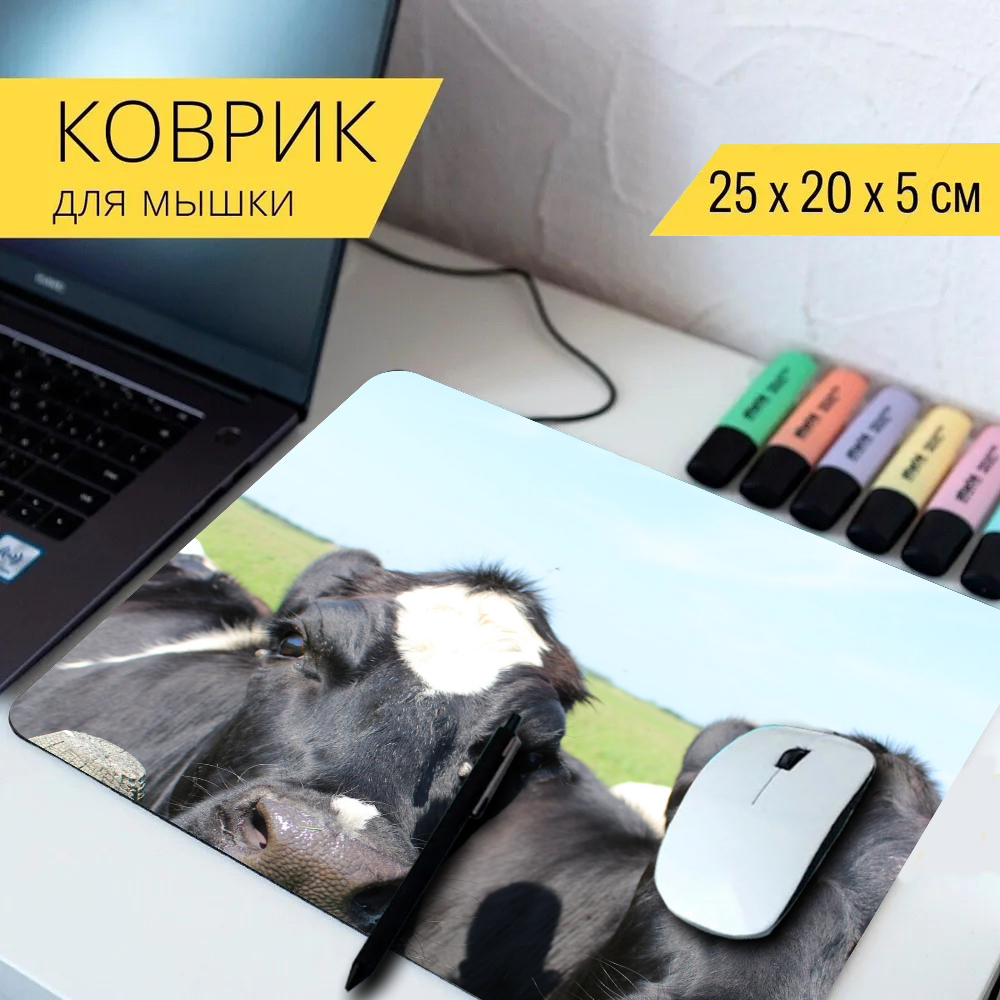 Коврик для мыши с принтом "Черно-белых коров Черно-белых коров черные белые коровы" 25x20см.