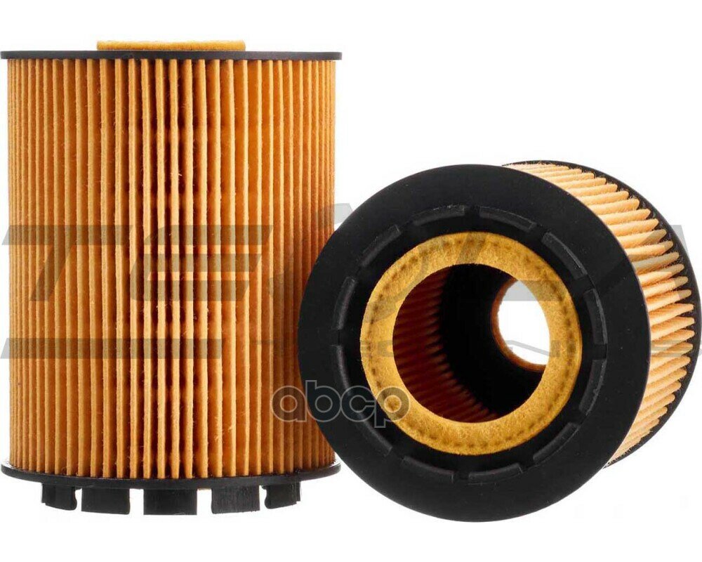 Фильтр масляный Tesla Technics арт. TTF2059