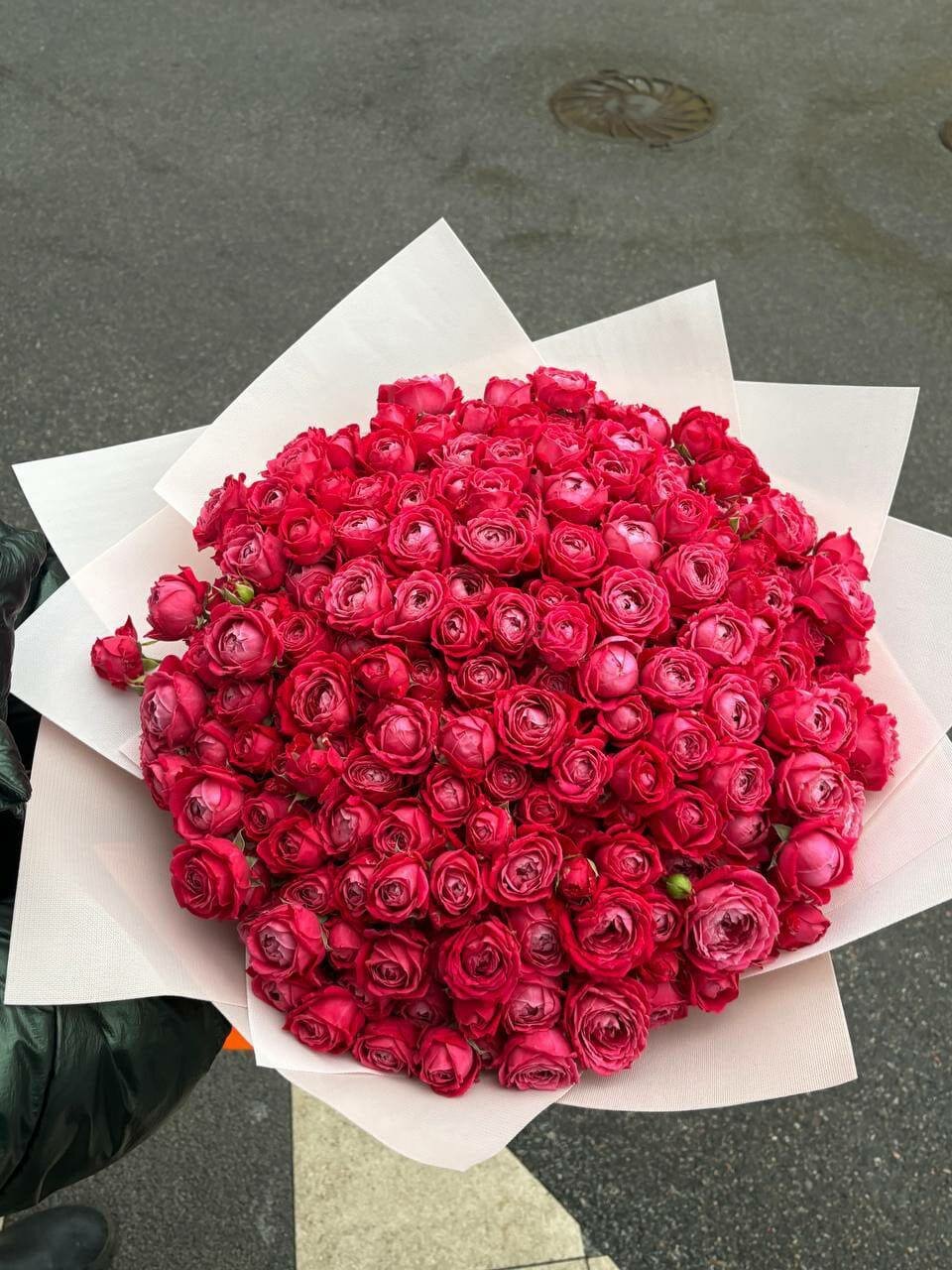 Розы пионовидные кустовые 39 шт
