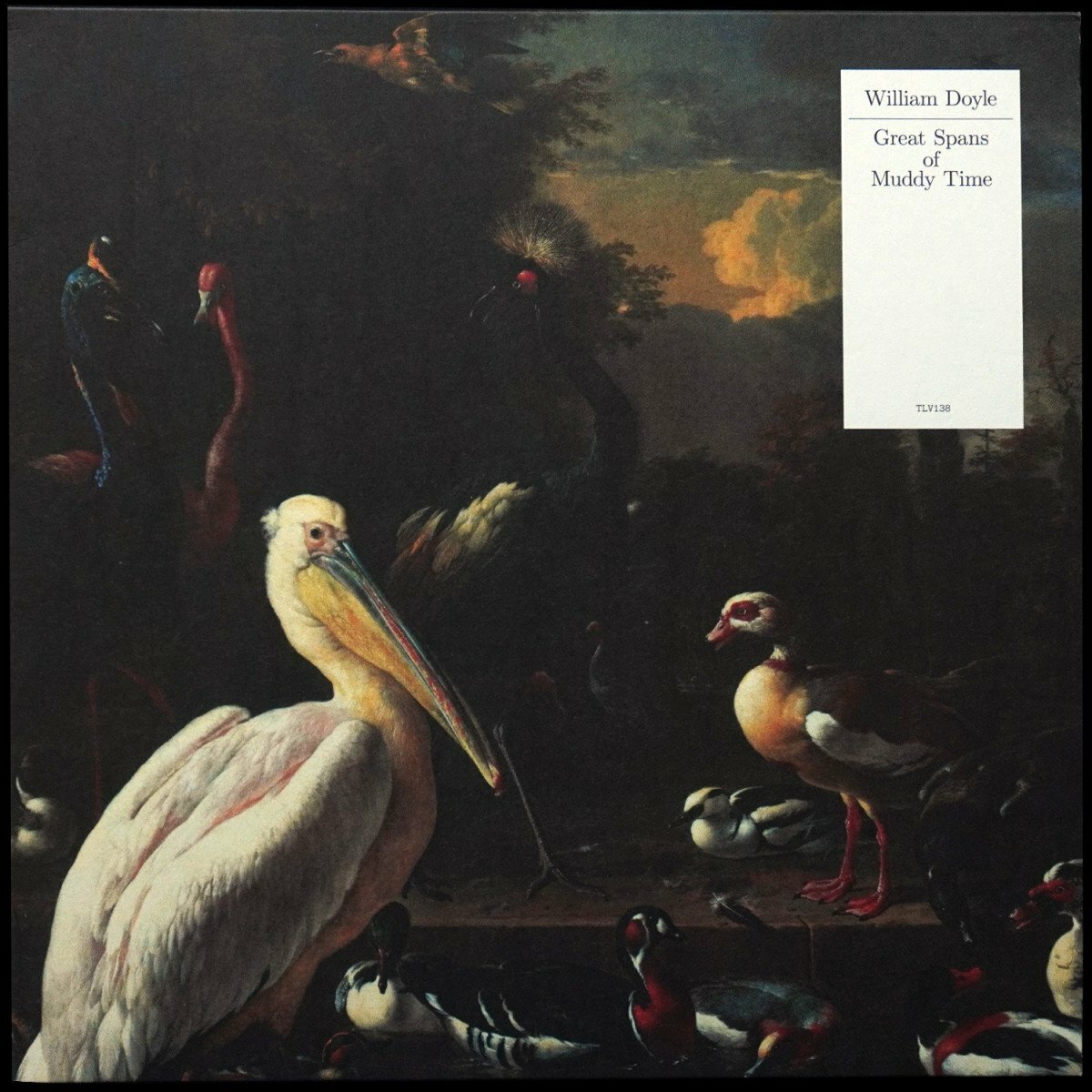 Виниловая пластинка Tough Love William Doyle – Great Spans Of Muddy Time (цветной винил)