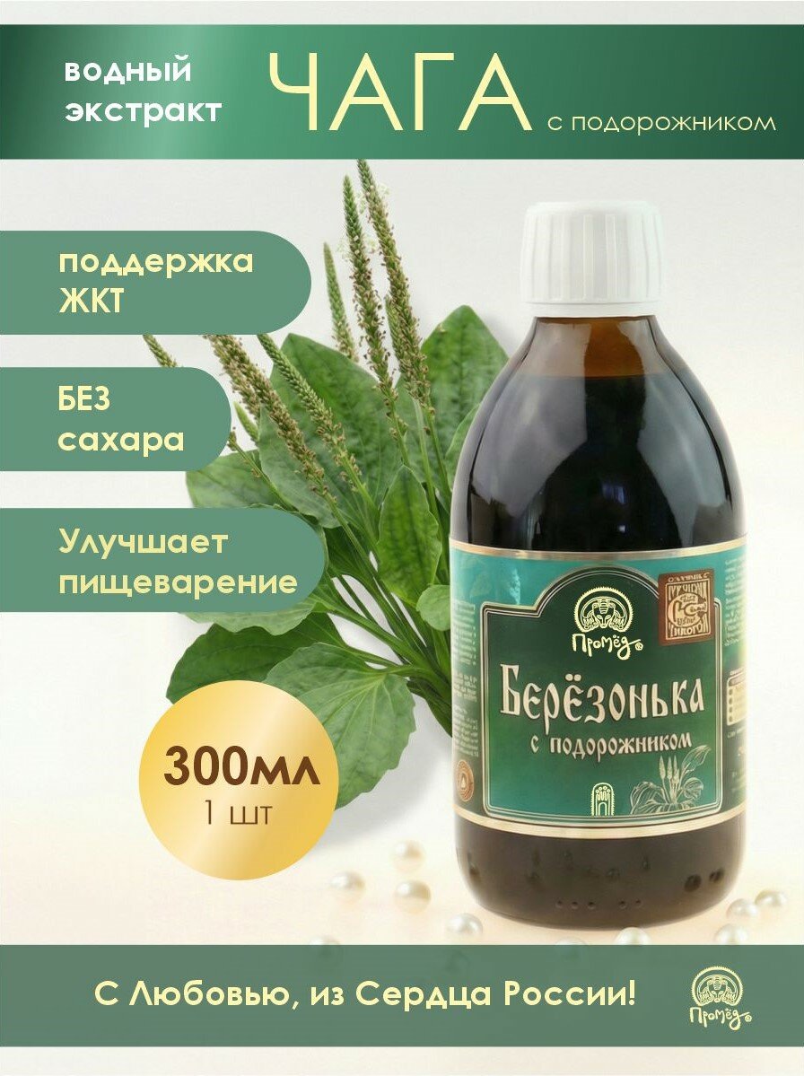 Водный настой чаги "Берёзонька с подорожником" концентрат напитков 300 мл