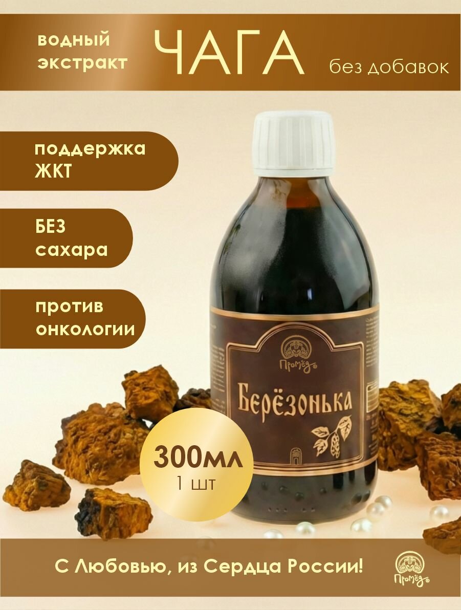 Водный настой чаги "Берёзонька" экстракт 300 мл