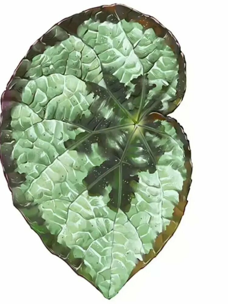 Магия Растений: Редкие тропические растения, креативные магниты на холодильник, декор для дома, серия растительных магнитов