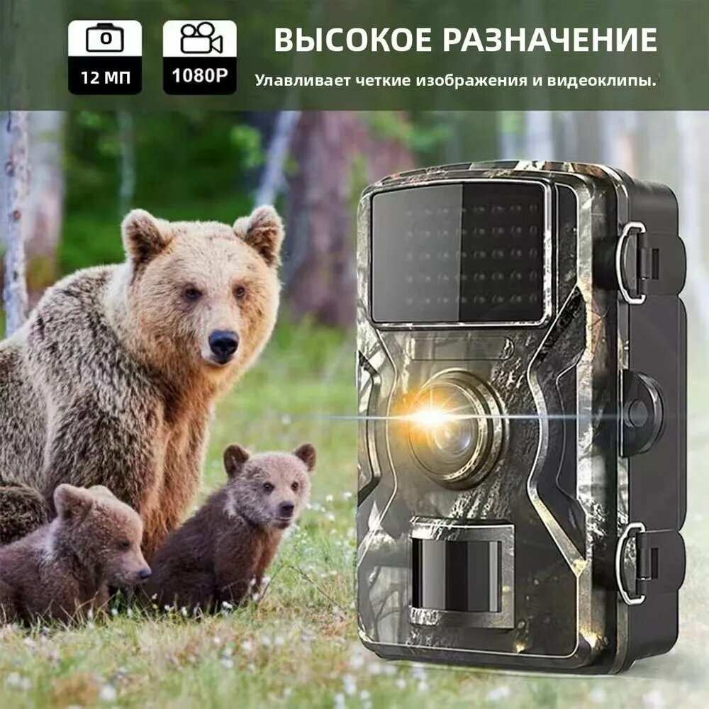 Фотоловушка — фото 1