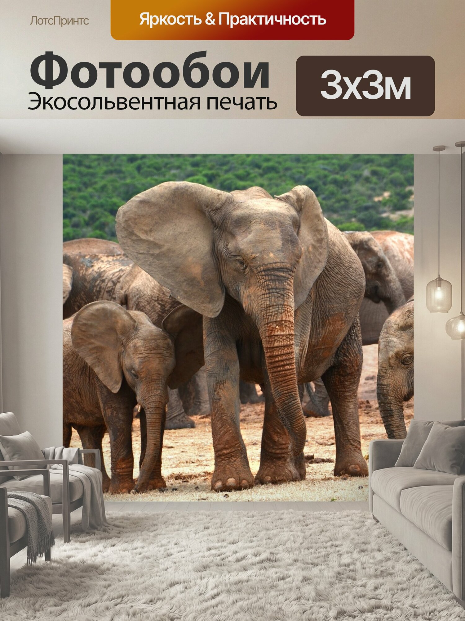 Фотообои "Африке, семья слонов, слоны" 300x300 см. экосольвентная печать