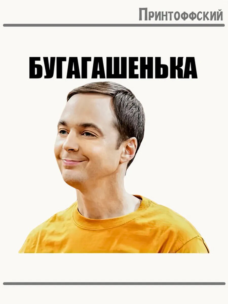 Термонаклейка для одежды и аксессуаров DTF-печать мем Теория Большого взрыва