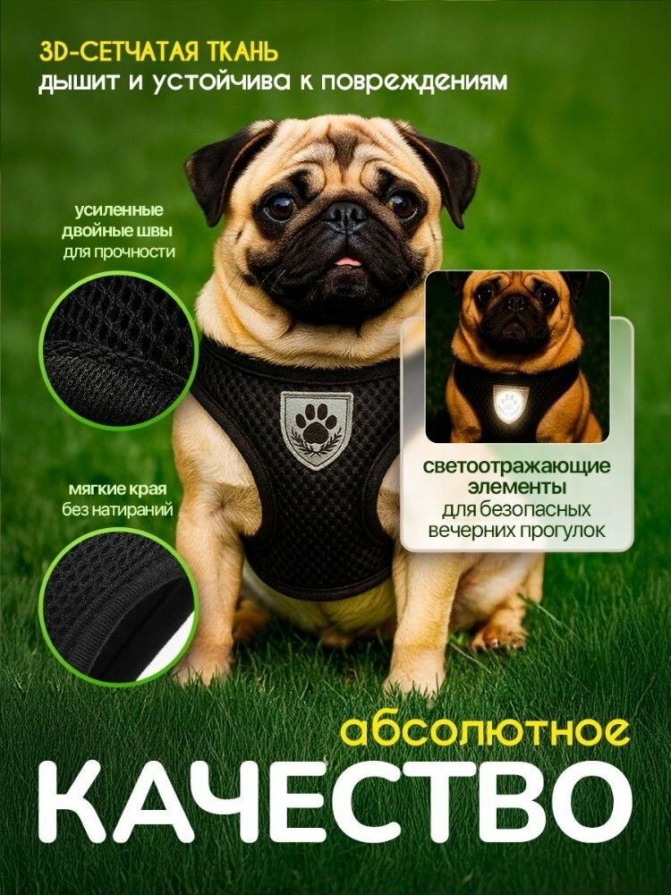 Шлейка — фото 1