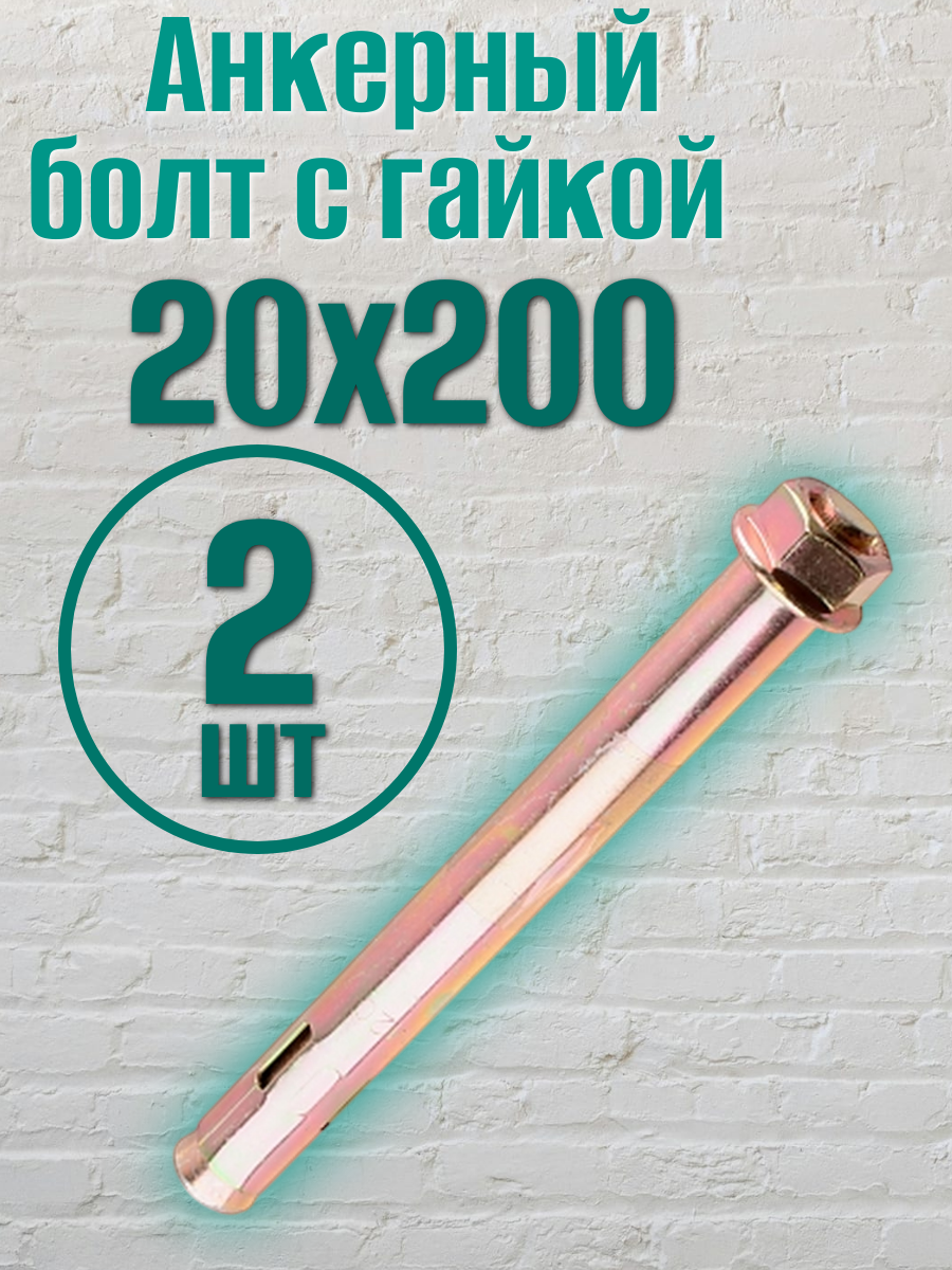 Анкерный болт с гайкой 20х200 (2 шт)