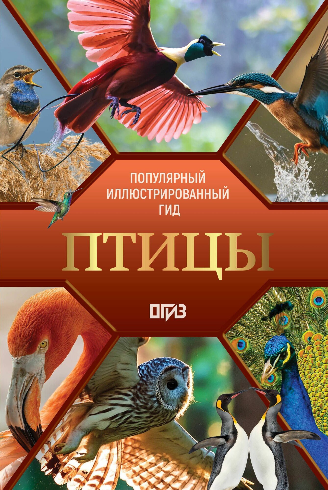 Анна Спектор, Елена Папуниди: Птицы. Иллюстрированный гид Издательство АСТ