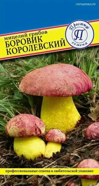 Мицелий грибов Боровик королевский, 60 мл, Престиж