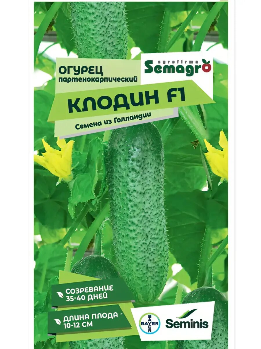 Семена огурец Клодин