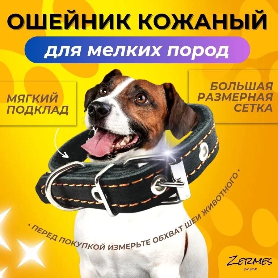 Ошейник