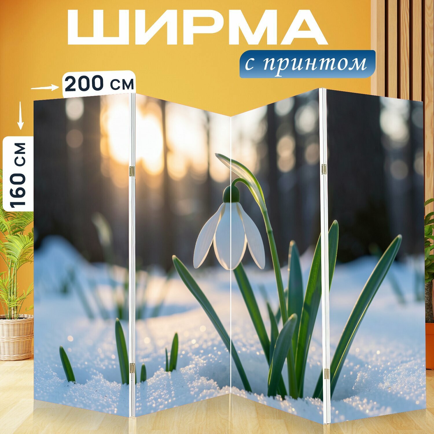 Ширма "Подснежник в зимнем лесу. Нежный ранневесенний цветок пробивается сквозь снежный покров на фоне." перегородка для зонирования комнаты с принтом 200x160 см. на холсте