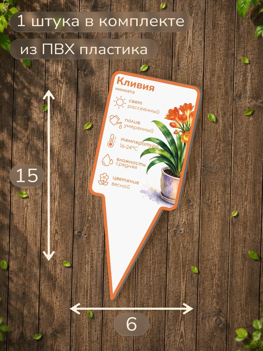 Фигурки для сада Кливия — фото 1
