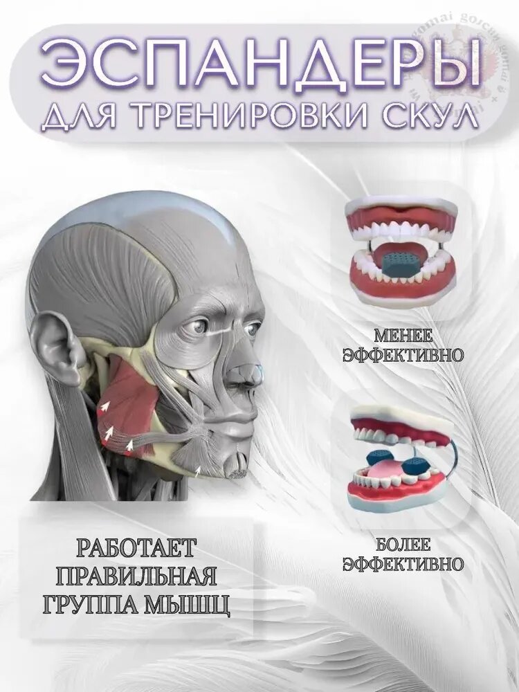 Эспандер , 2 шт, 50 кг
