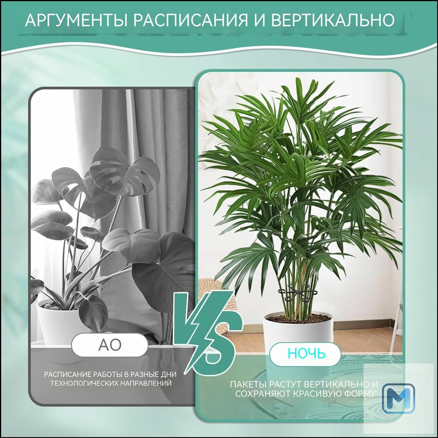 Опора для растений набор 8 шт, держатель для стеблей комнатных растений — фото 1