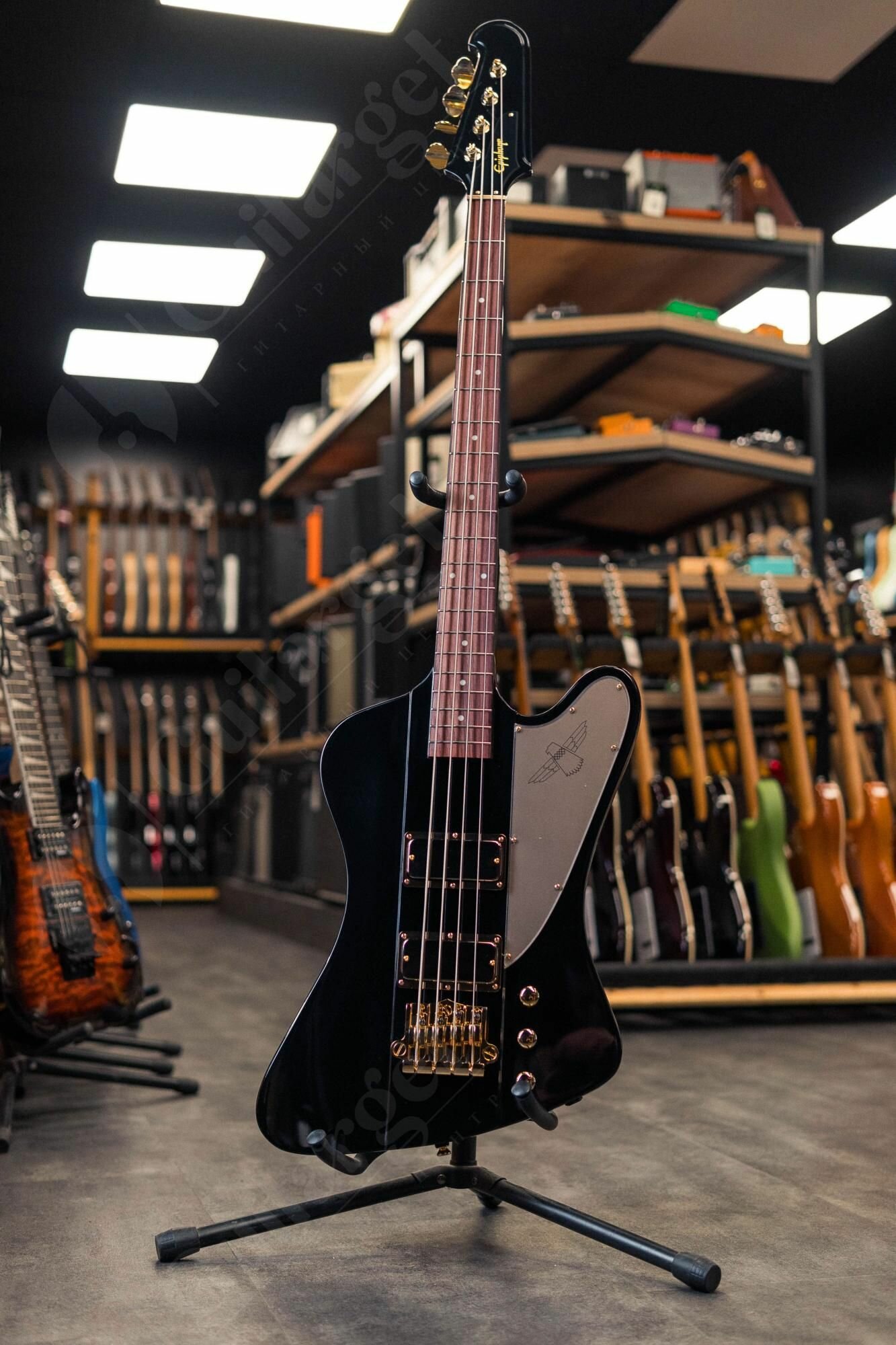 Бас-гитара Epiphone Rex Brown Thunderbird с кейсом