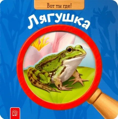 Вот ты где! Лягушка, 2019, Лабиринт