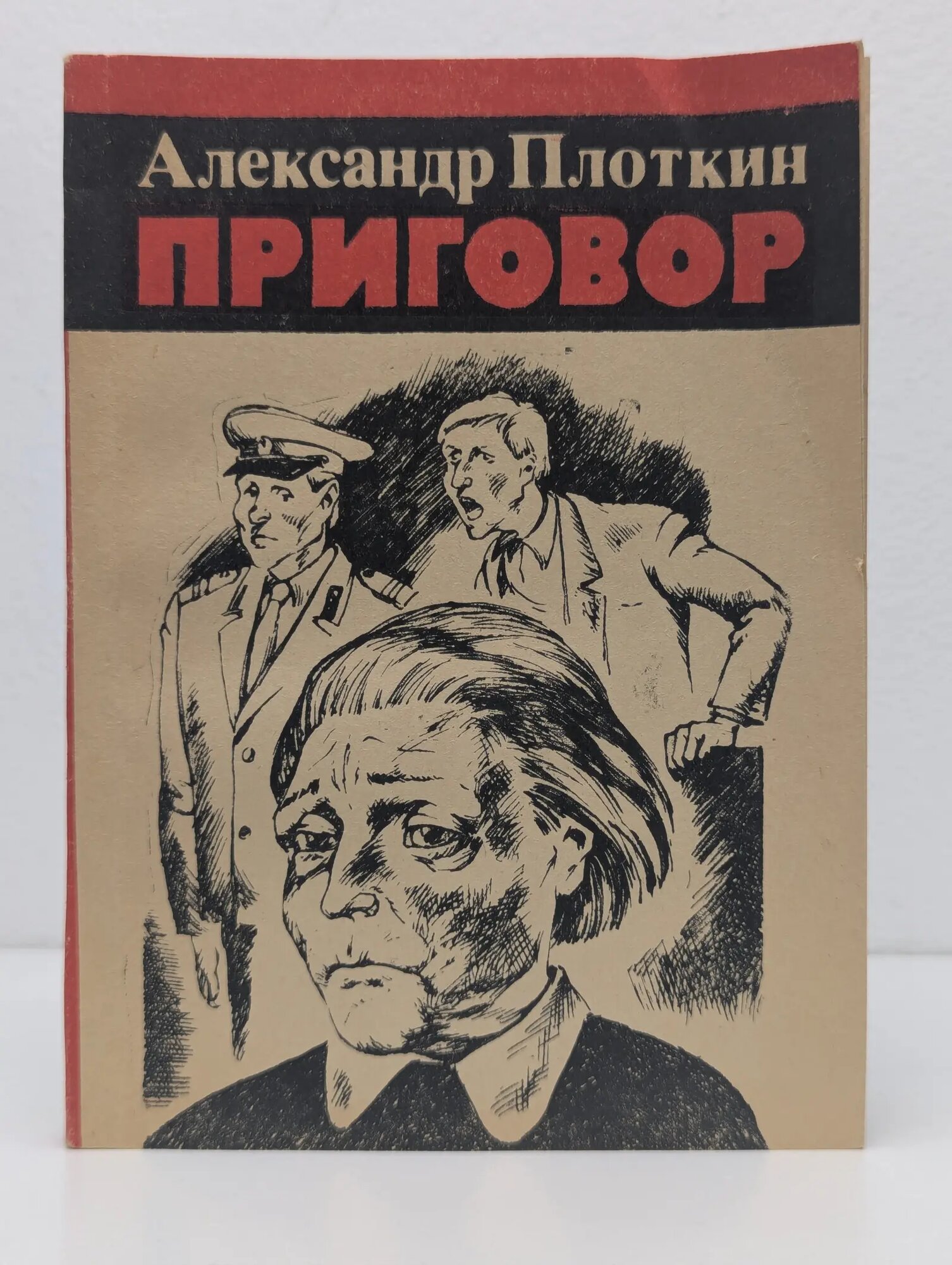 Приговор Плоткин Александр Семенович 1991