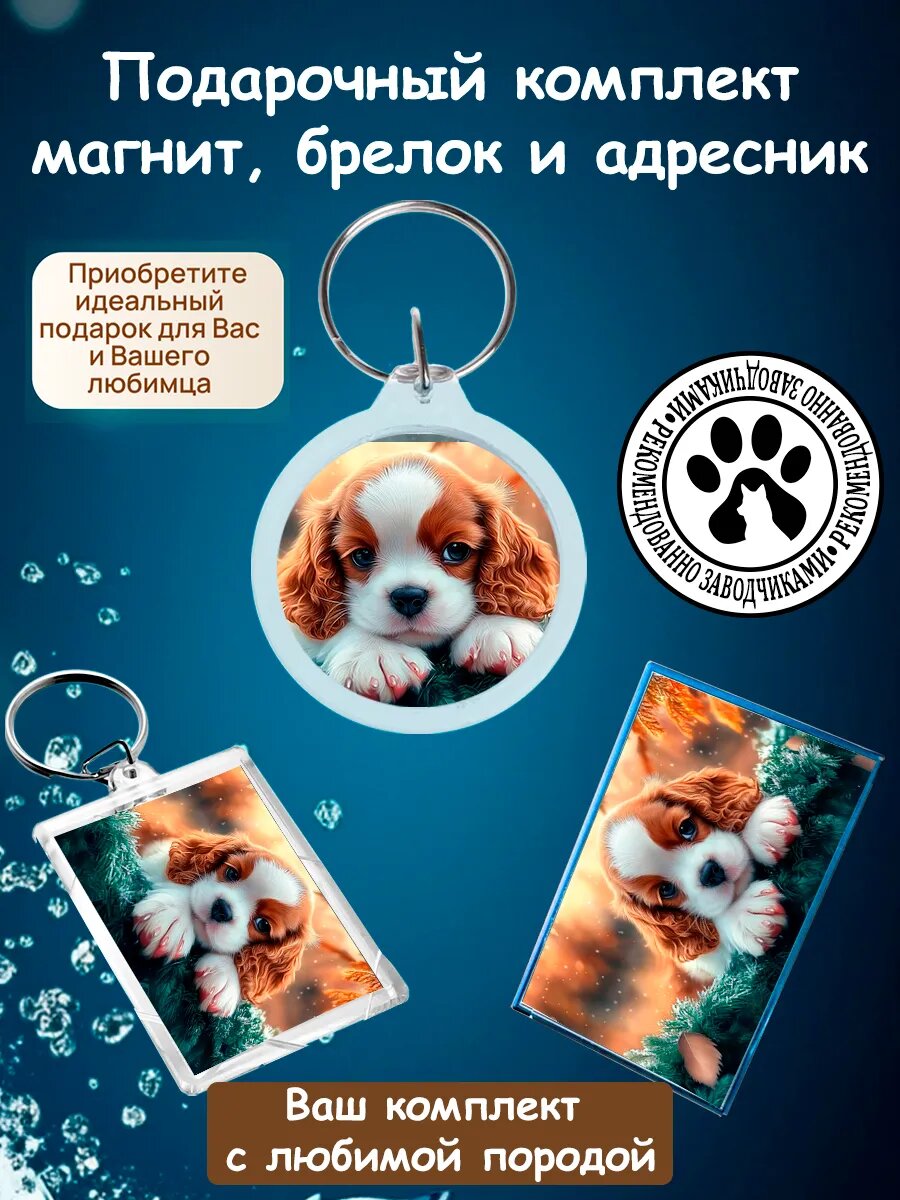 Подарочный комплект магнит брелок адресник