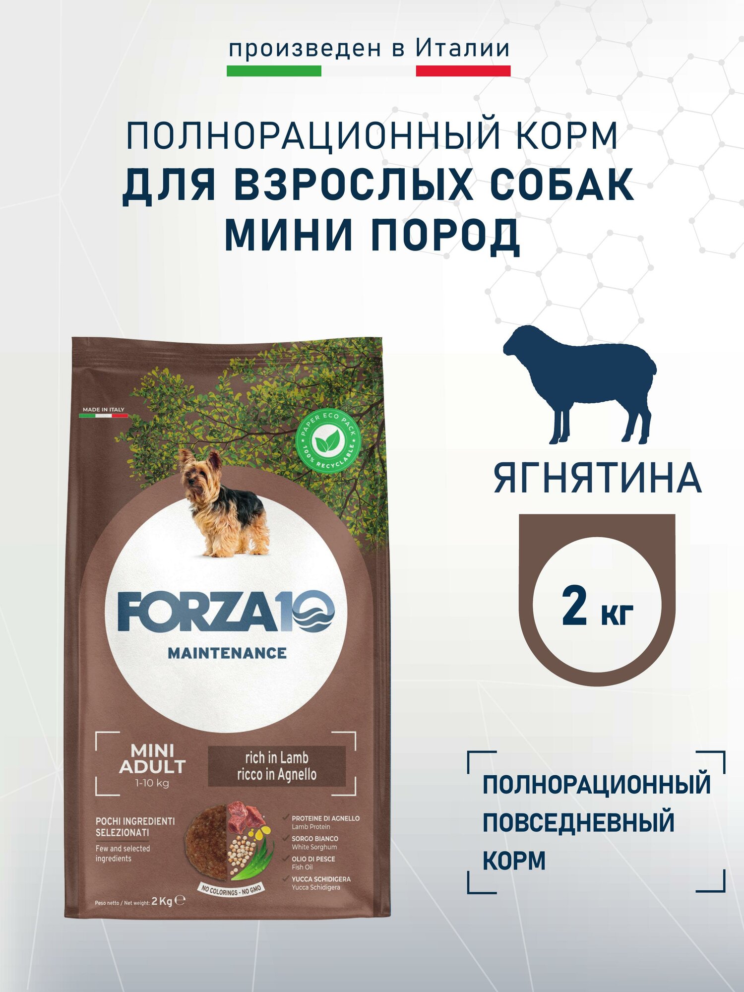 Корм сухой для собак FORZA10 Maintenance Lamb & Rice Medium из ягненка с рисом, для взрослых собак средних пород, 2 кг