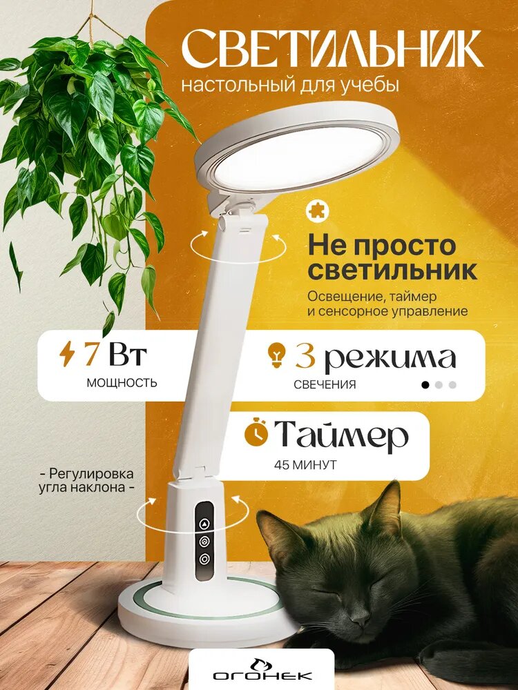 Лампа настольная для школьника с таймером Огонёк OG-LDP41A