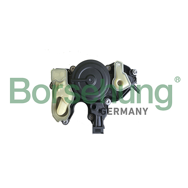 BORSEHUNG B18956 маслоотделитель картера\ audi, seat, skoda, VW Golf (Гольф) / passat