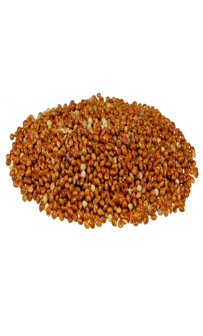 Красное Просо, корм для домашних животных , птиц, голубей.10 кг.