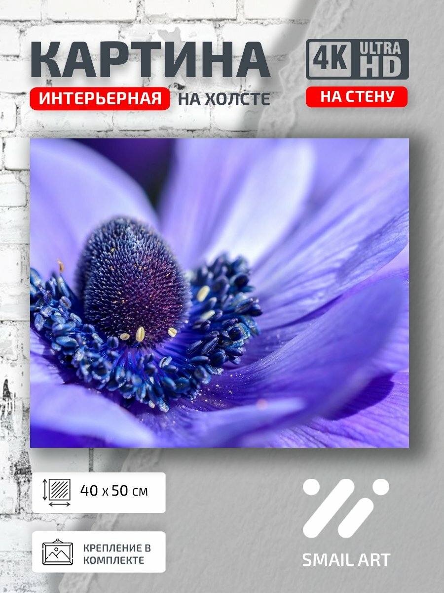 Картина на холсте интерьерная 40 на 50 на стену Фиолетовый Macro для спальни макро интерьер