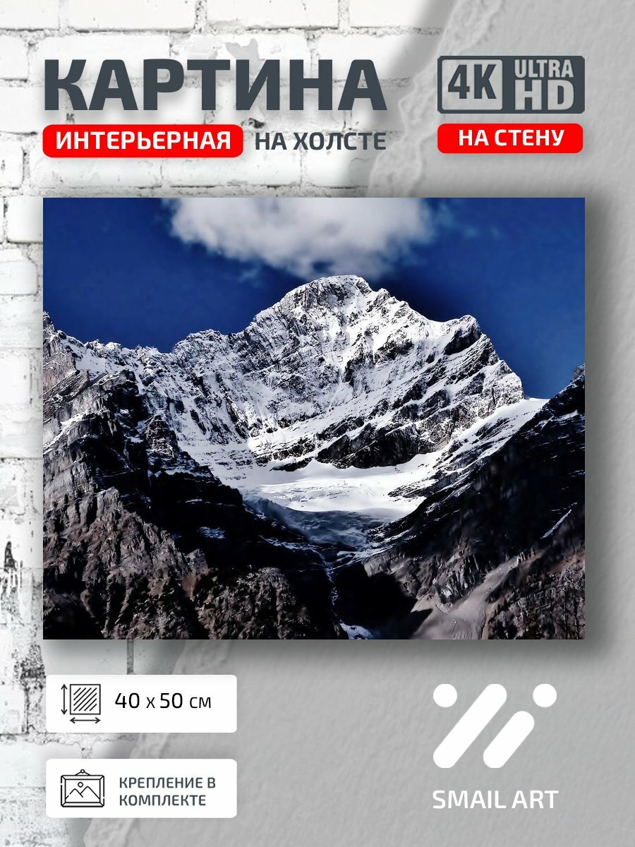 Картина на холсте интерьерная 40 на 50 на стену Снег Landscape для гостиной пейзаж интерьер
