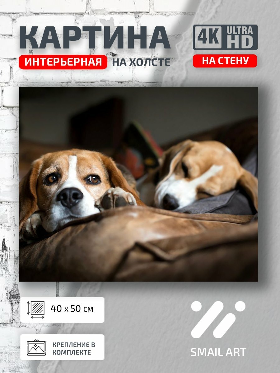 Картина на холсте интерьерная 40 на 50 на стену Щенки Mood для спальни атмосфера интерьер