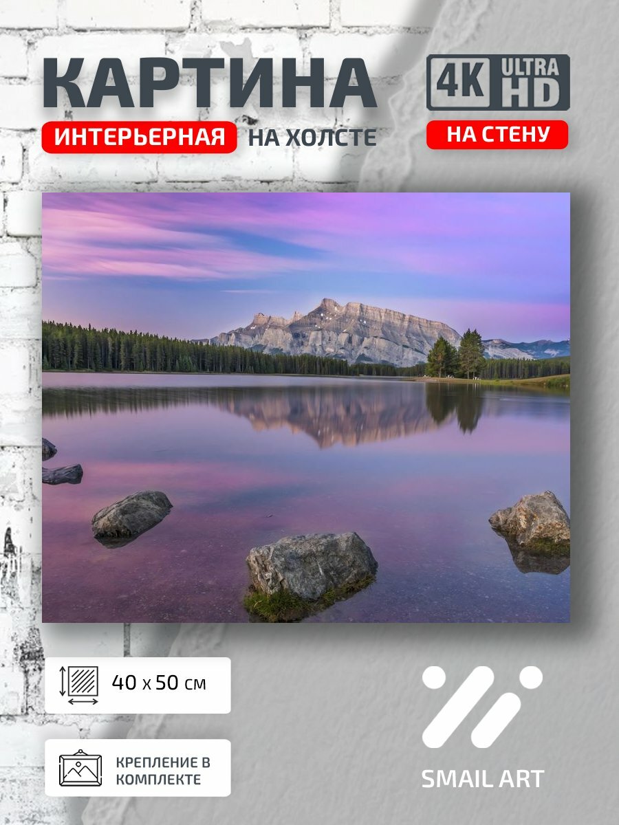 Картина на холсте интерьерная 40 на 50 на стену Лес Landscape для кафе пейзаж интерьер
