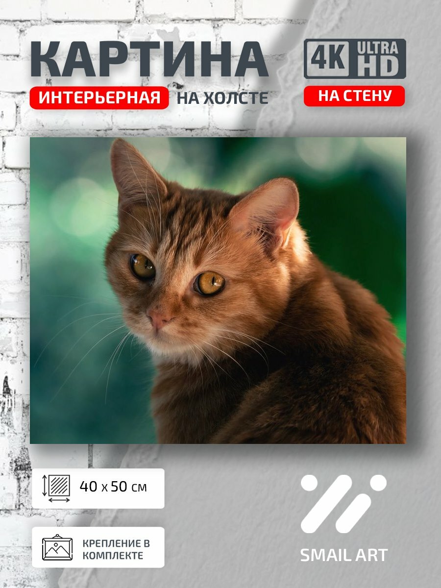 Картина на холсте интерьерная 40 на 50 на стену Шерсть Animal для детской animal style