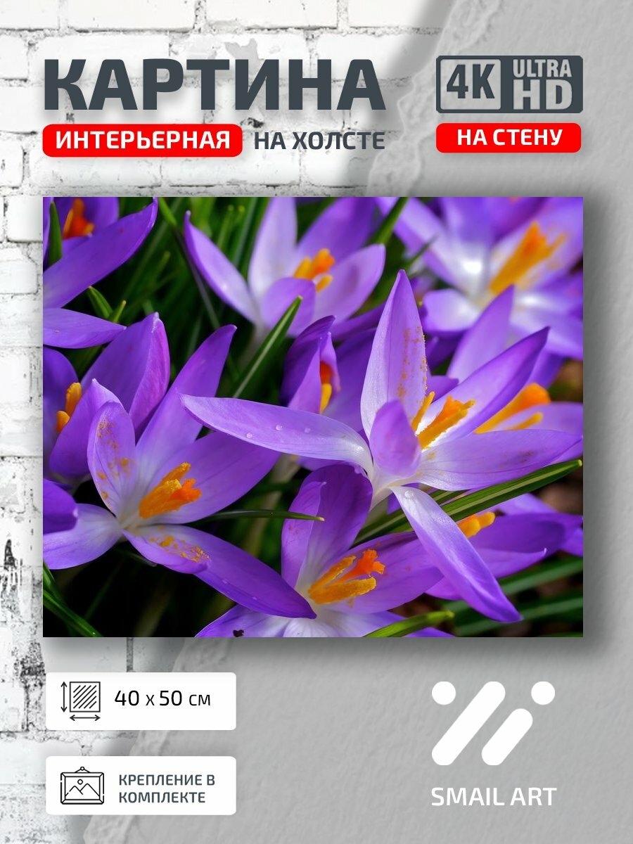 Картина на холсте интерьерная 40 на 50 на стену Весна Mood для гостиной атмосфера интерьер