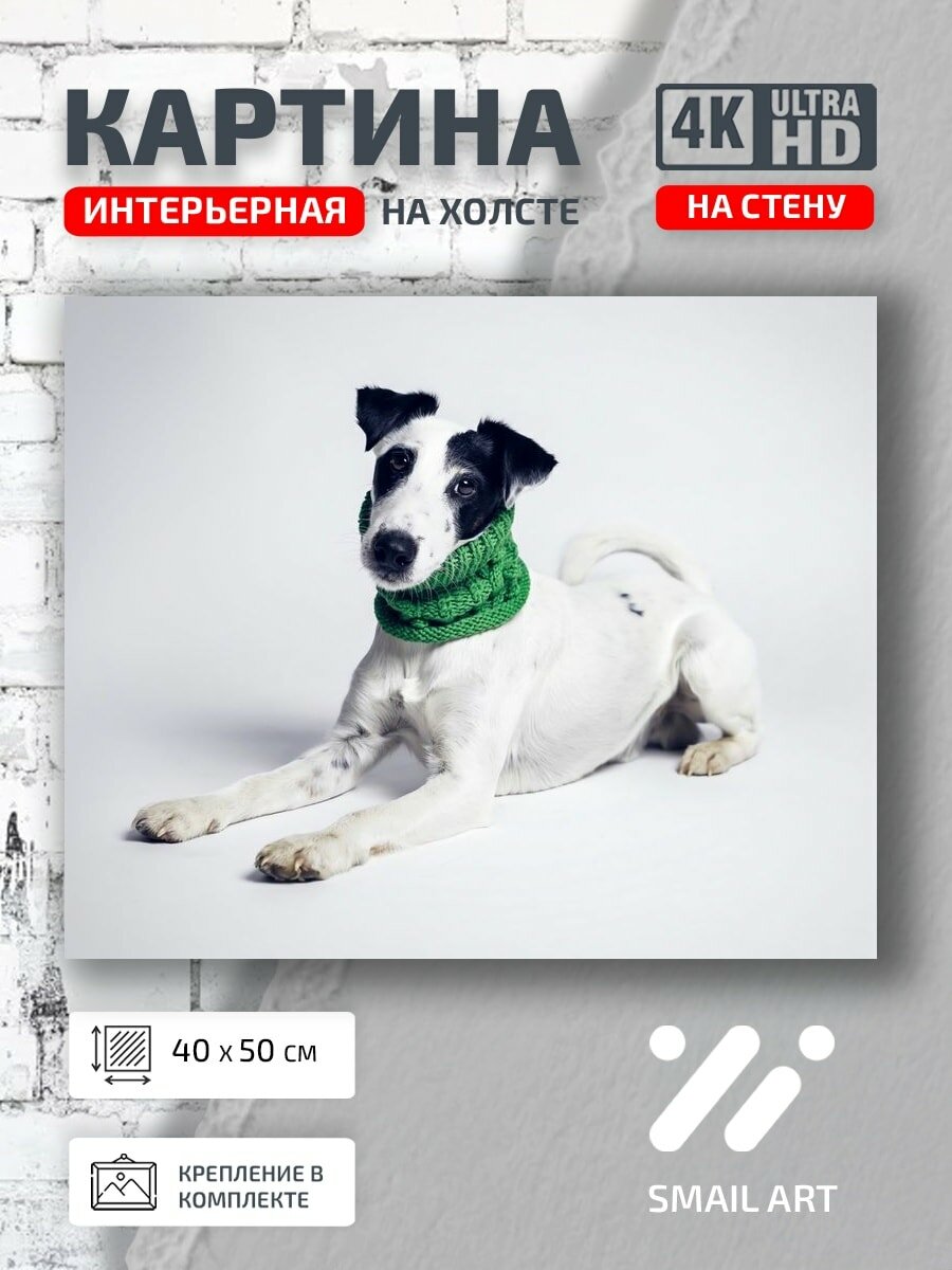 Картина на холсте интерьерная 40 на 50 на стену Животные Собака для офиса атмосфера