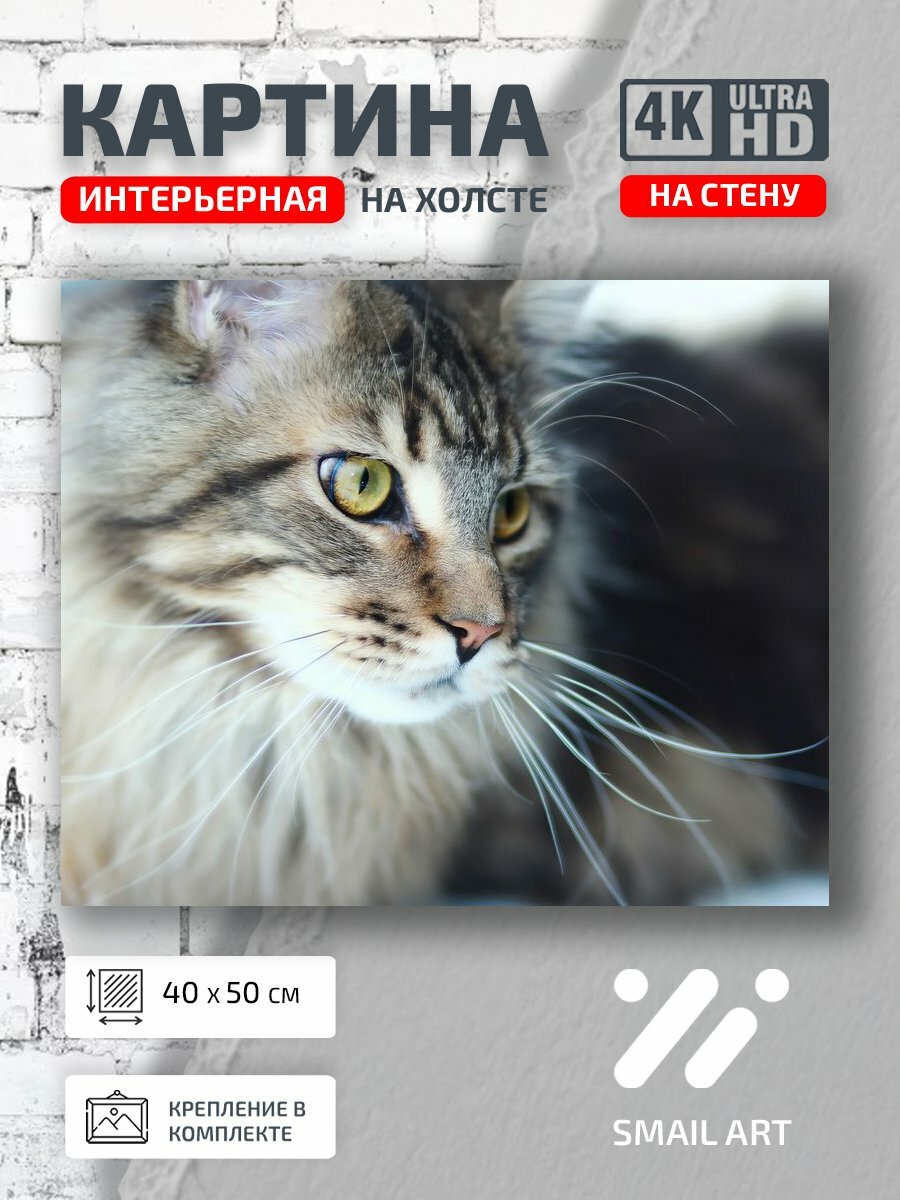 Картина на холсте интерьерная 40 на 50 на стену Кошка Animal для кабинета animal style