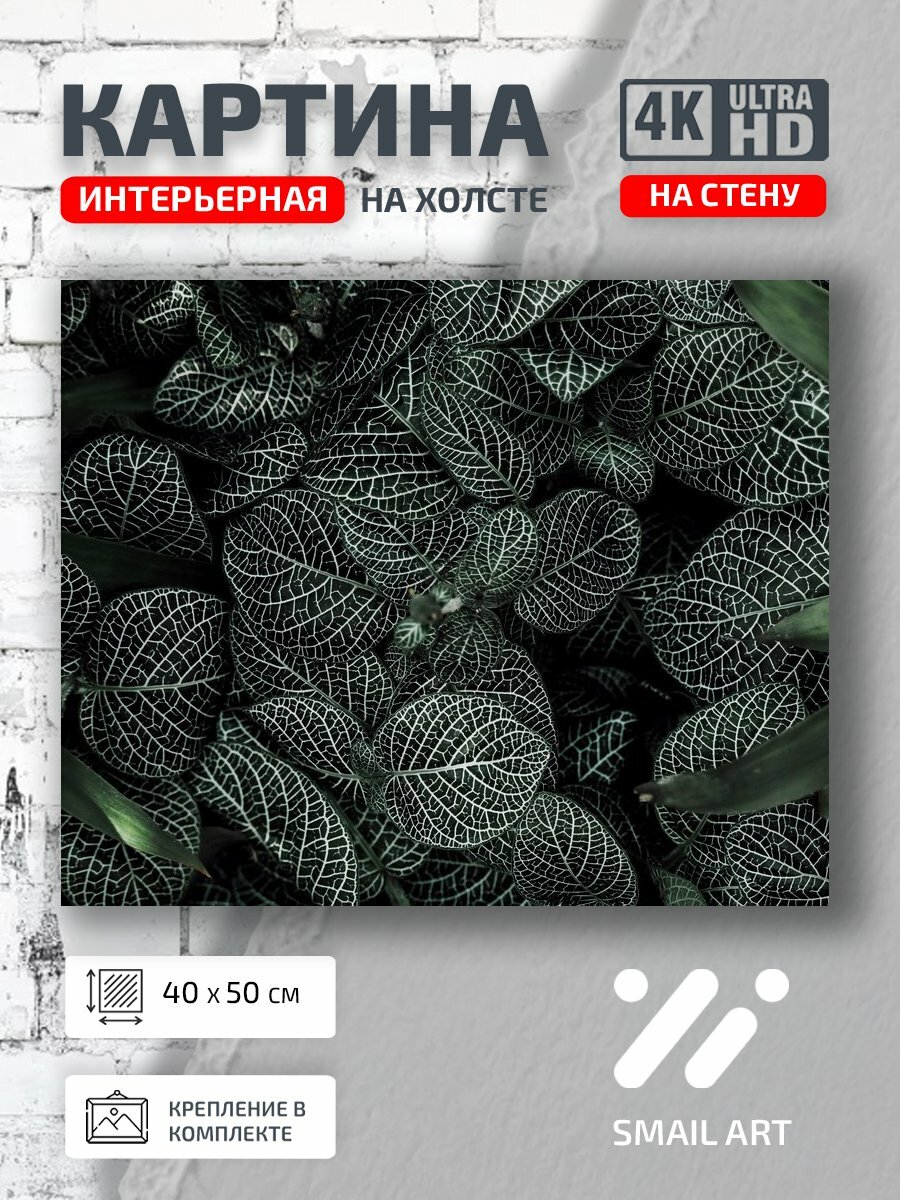 Картина на холсте интерьерная 40 на 50 на стену Кусты Landscape для кабинета пейзаж декор