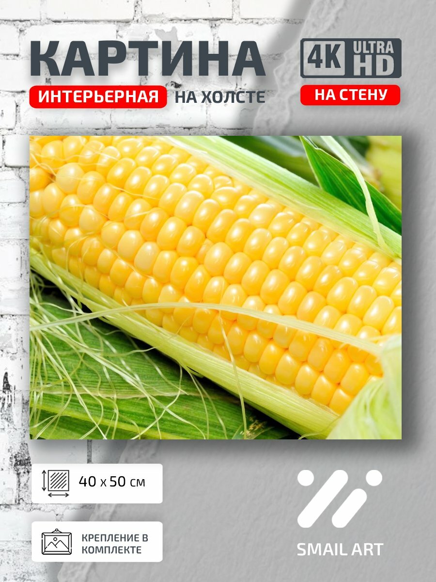Картина на холсте интерьерная 40 на 50 на стену Початок grain для кафе кулинария интерьер