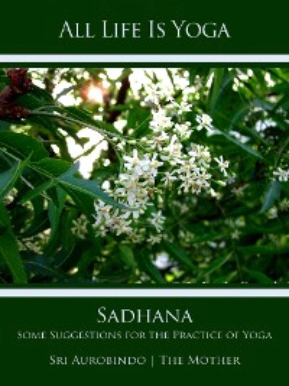 All Life Is Yoga: Sadhana [Цифровая книга]