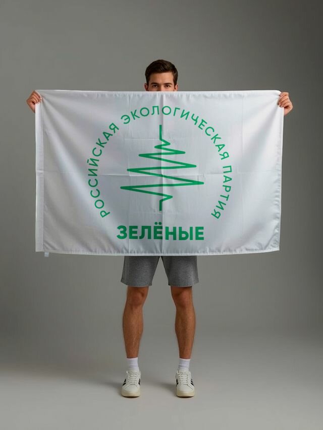 Флаг партии Зеленые, 70х105 см на шёлке для ручного древка